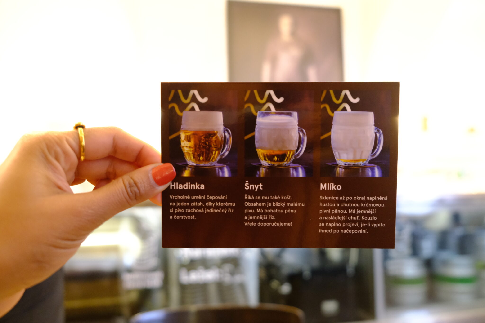 Beer, Beef and Becherovka: Prague Beer Hall Trifecta - Kulture Kween
